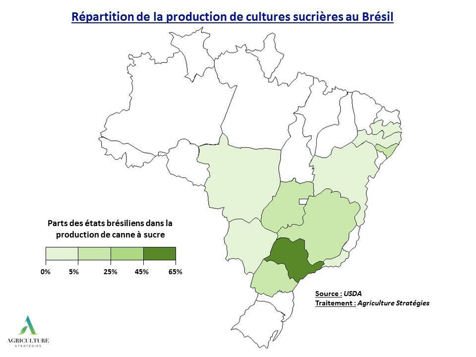 The sugar policy in Brazil: regulation by ethanol / Agriculture Stratégies
